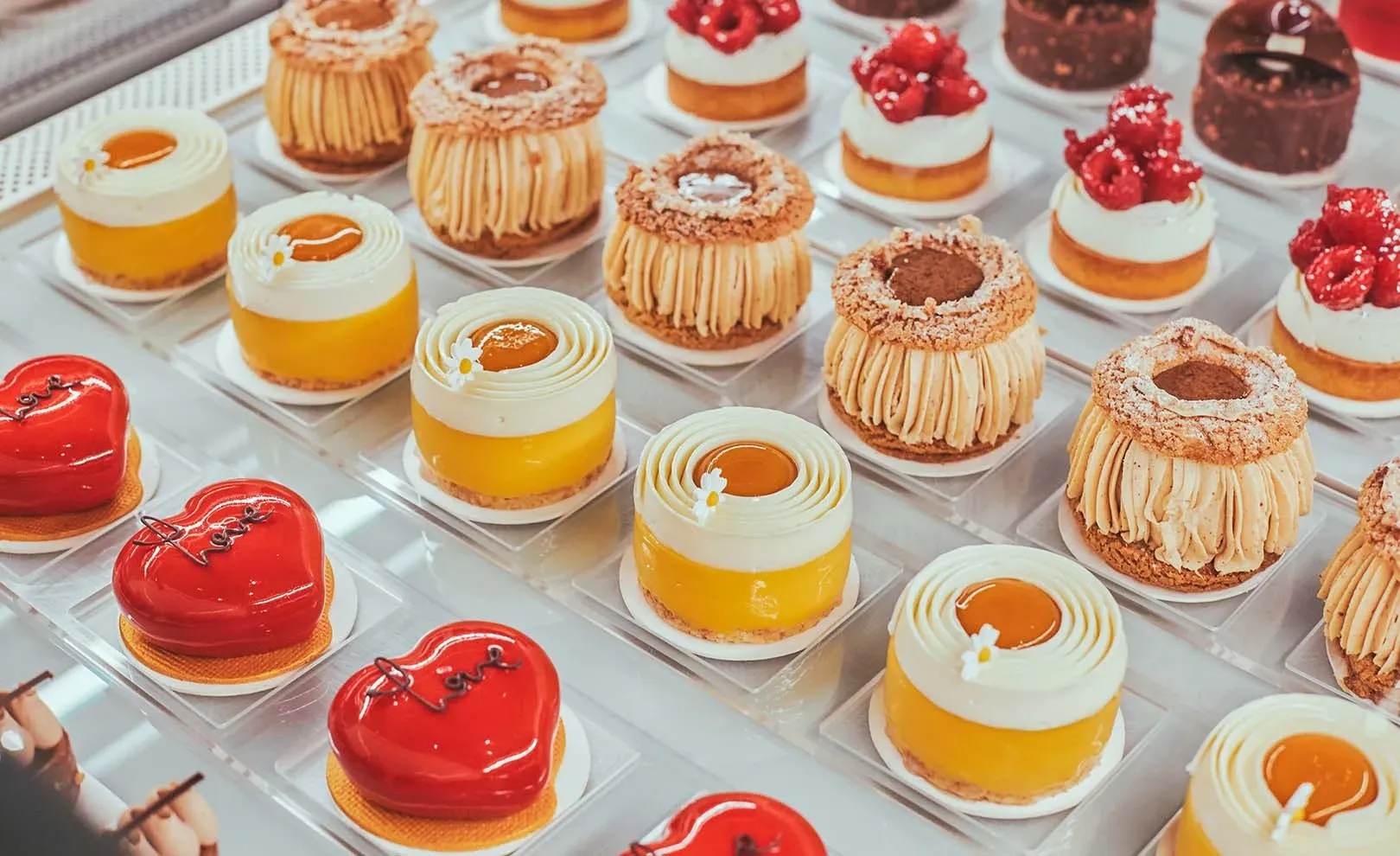 Descubre más que una plaza comercial en Mérida | City 32